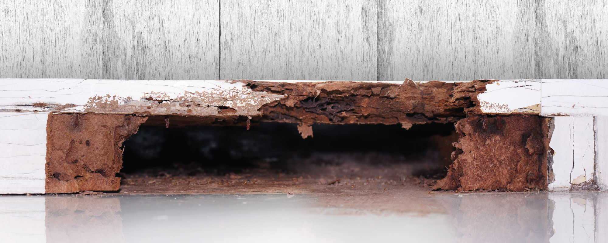 Timber Preservation Salisbury - Damp Proofing & Basement Conversions